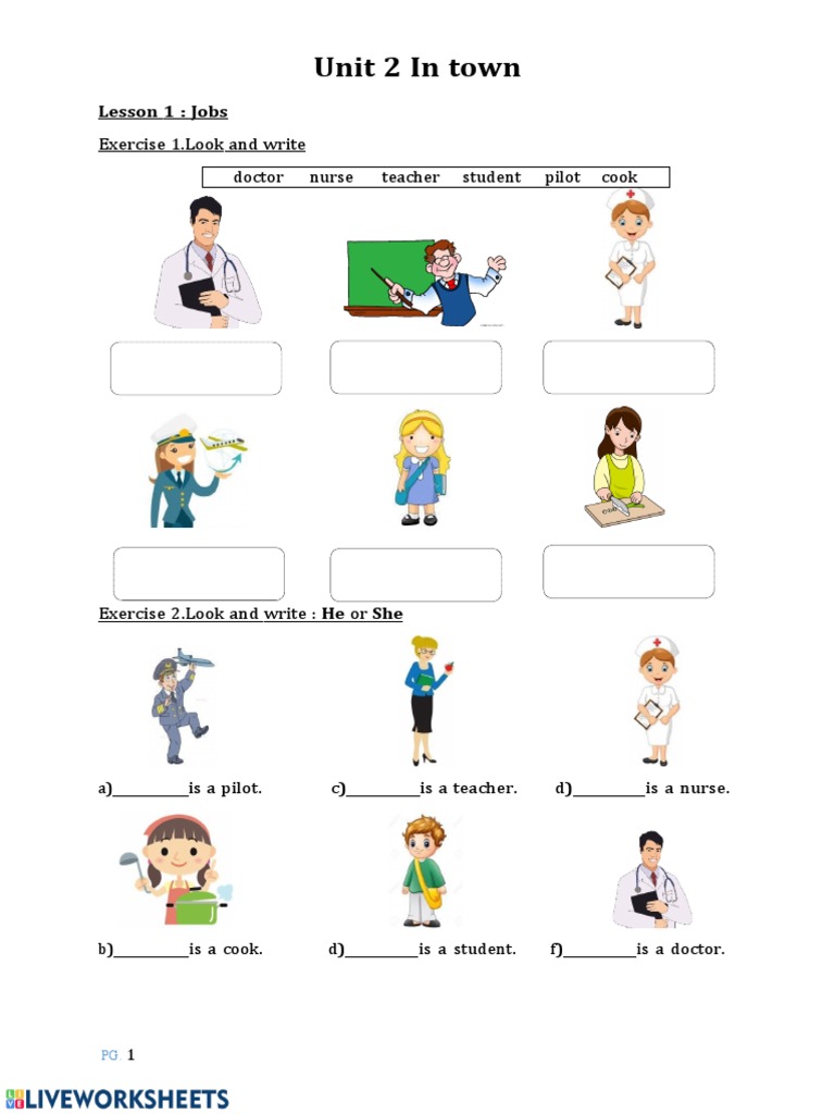 Worksheet For The Whole Unit 2 | PDF