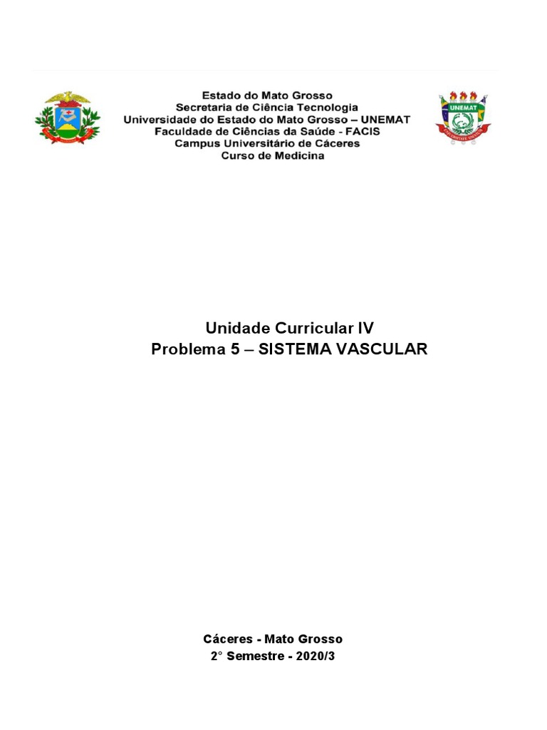Sumário Pronto-Uc4-P5 | PDF