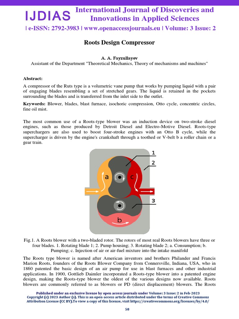 Roots Design Compressor | PDF