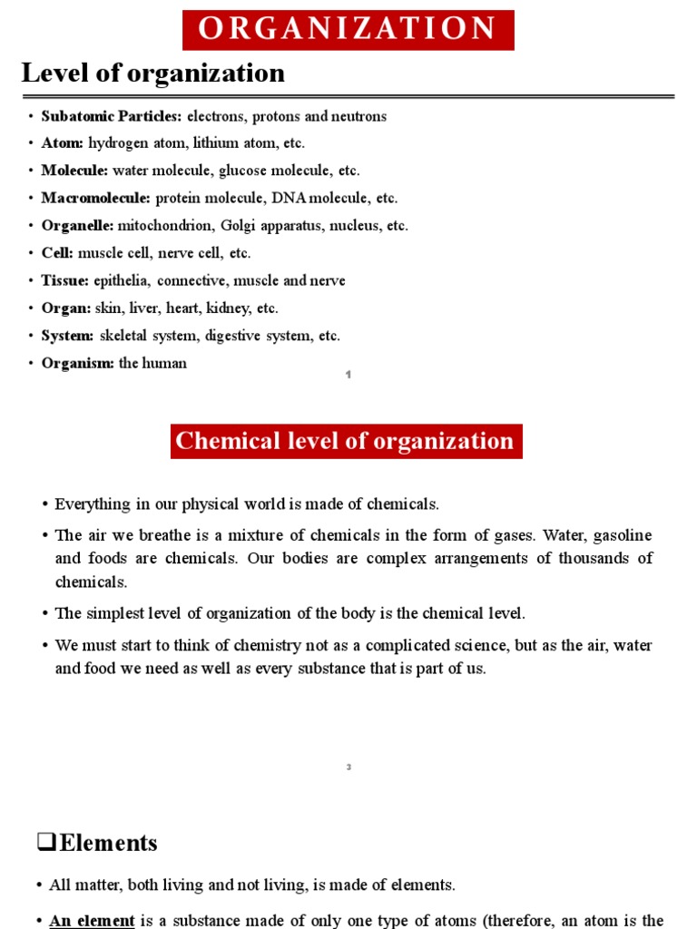 Chemical Organization | PDF | Carbohydrates | Chemical Bond