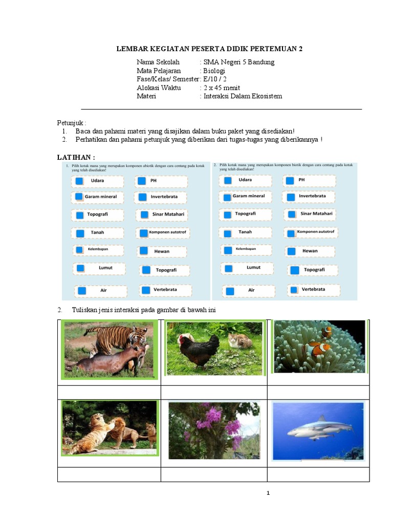 Lkpd Ekosistem 2 Pdf