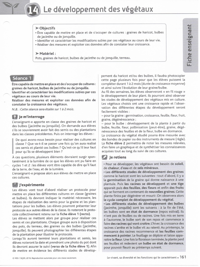 MDI Sciences (Cycle 3) 14 - Le Développement Des Végétaux | PDF