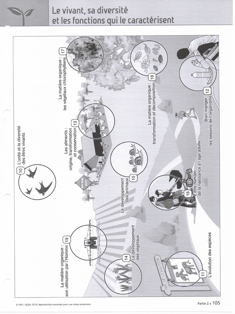 MDI Sciences (Cycle 3) 10 - L'unité Et La Diversité Des Êtres Vivants | PDF
