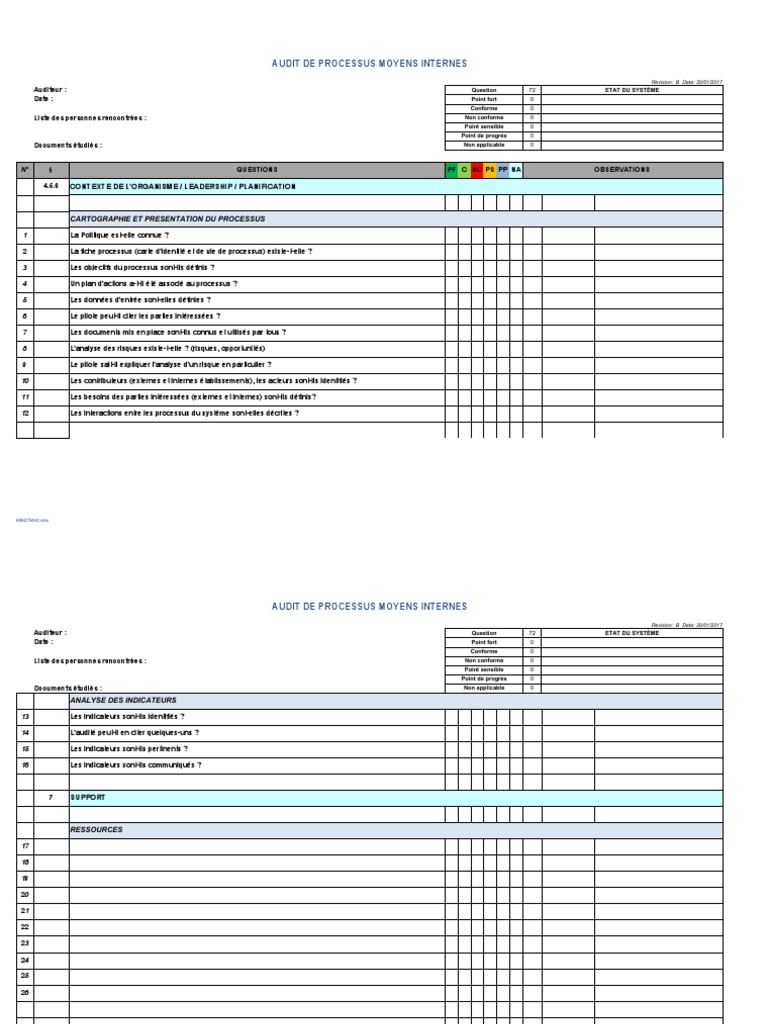 Trame Audit Interne Processus Moyens Internes | PDF