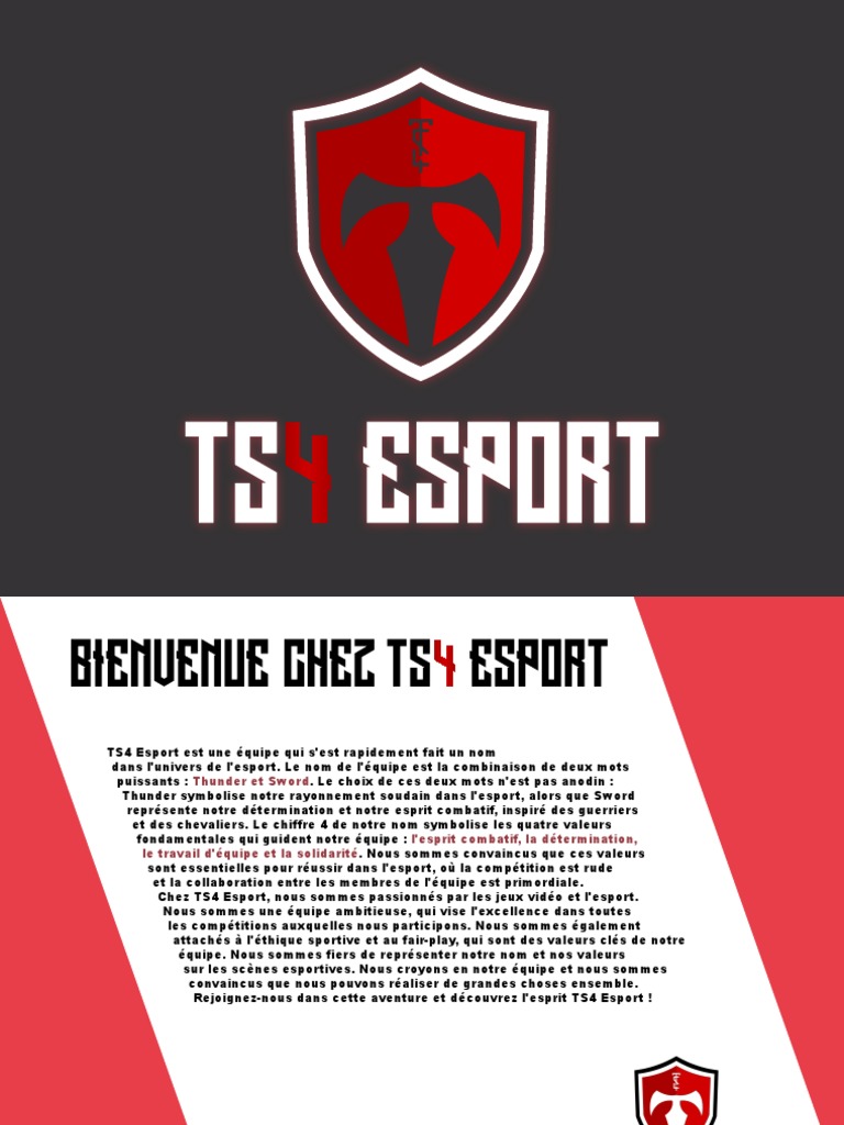 Presentation TS4-1-1 1 1 | PDF