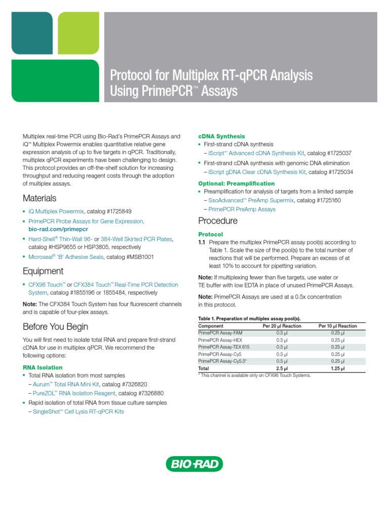 PCR Multiplex | PDF | Real Time Polymerase Chain Reaction | Polymerase ...