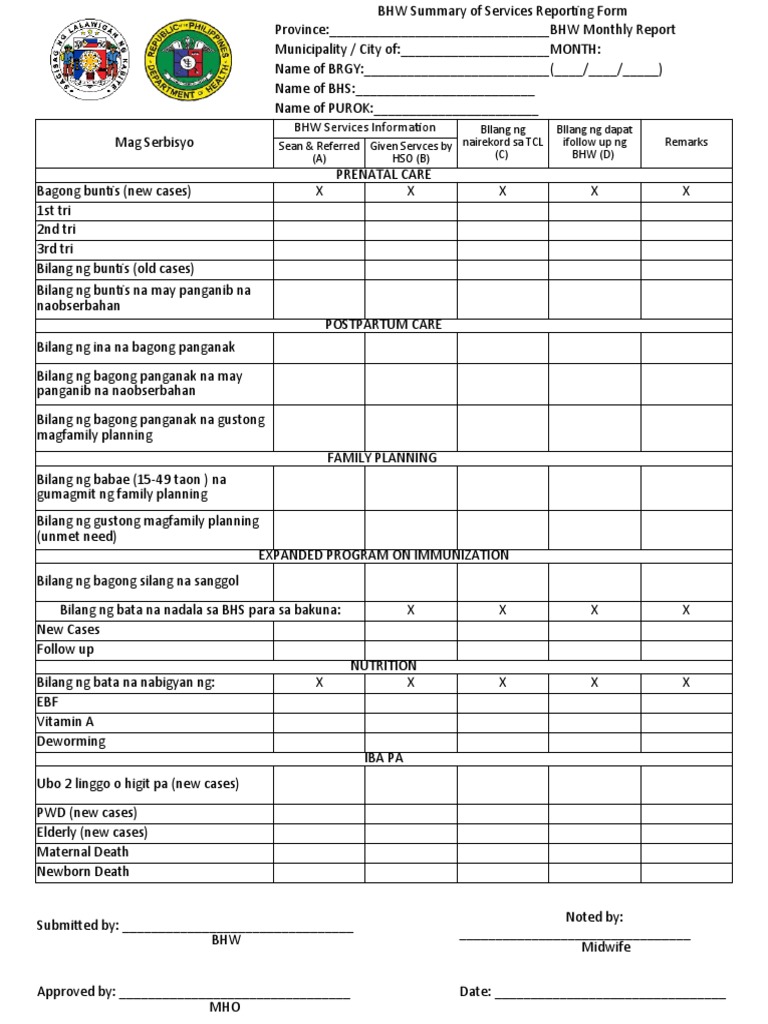 Bhw Summary Of Services Reporting Form 1 Pdf Human Development