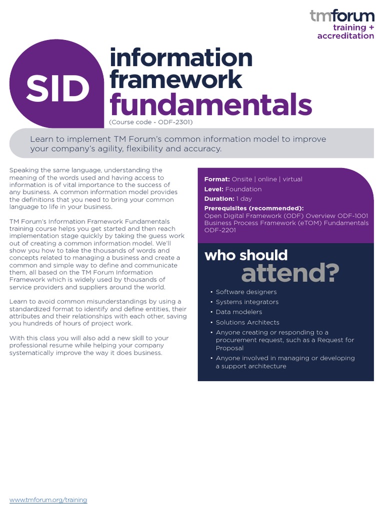 Information Framework SID Fundamentals v3 | PDF