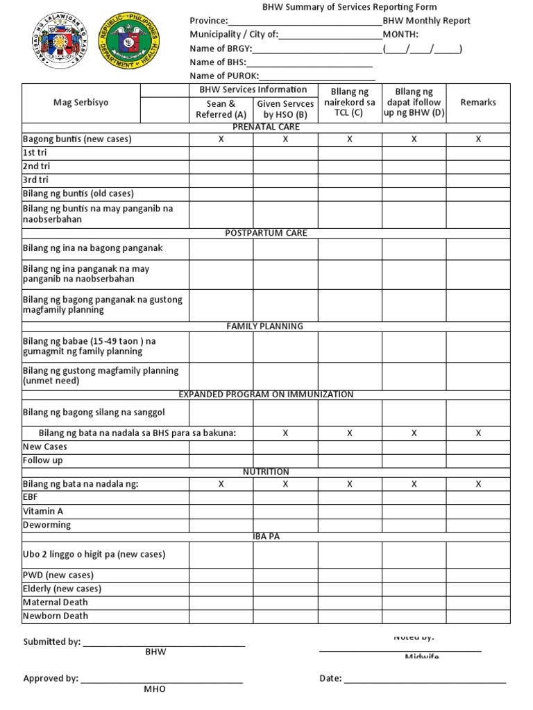 BHW Summary of Services Reporting Form | PDF