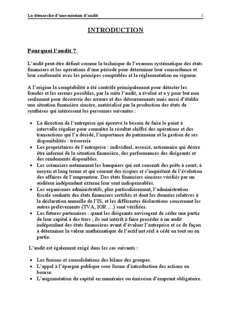 La Demarche D Une Mission D Audit | PDF
