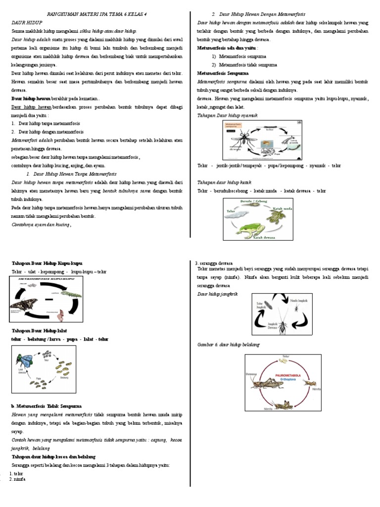 Materi IPA Kelas 4 SD | PDF