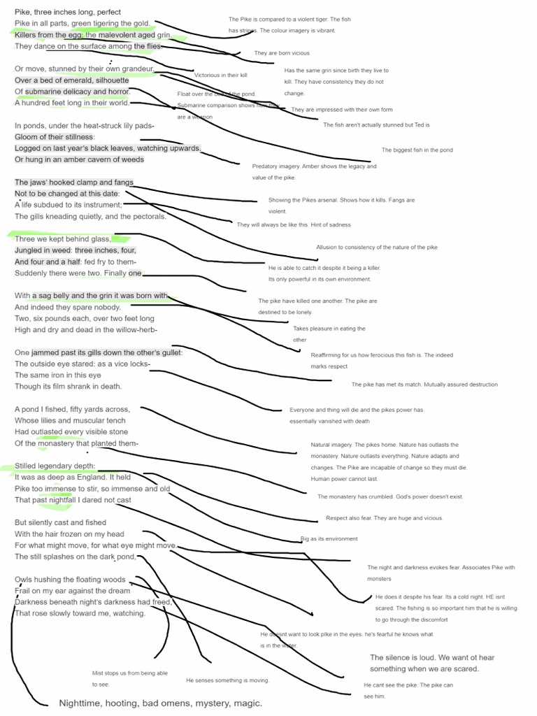 Pike by Ted Hughes | PDF