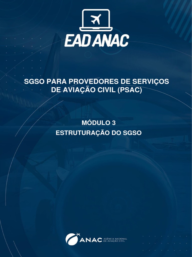 Módulo 3 - Estruturação Do SGSO - Versão 2021 | PDF