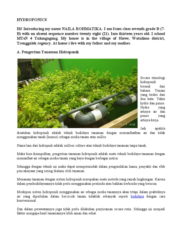 Hidroponik | PDF