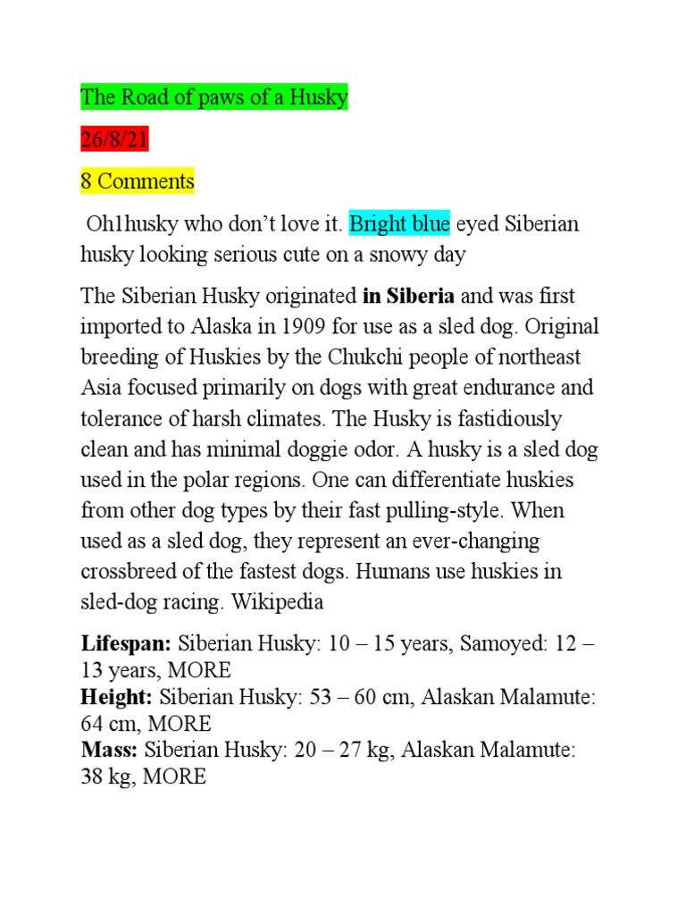 The Husky | PDF | Religion & Spirituality
