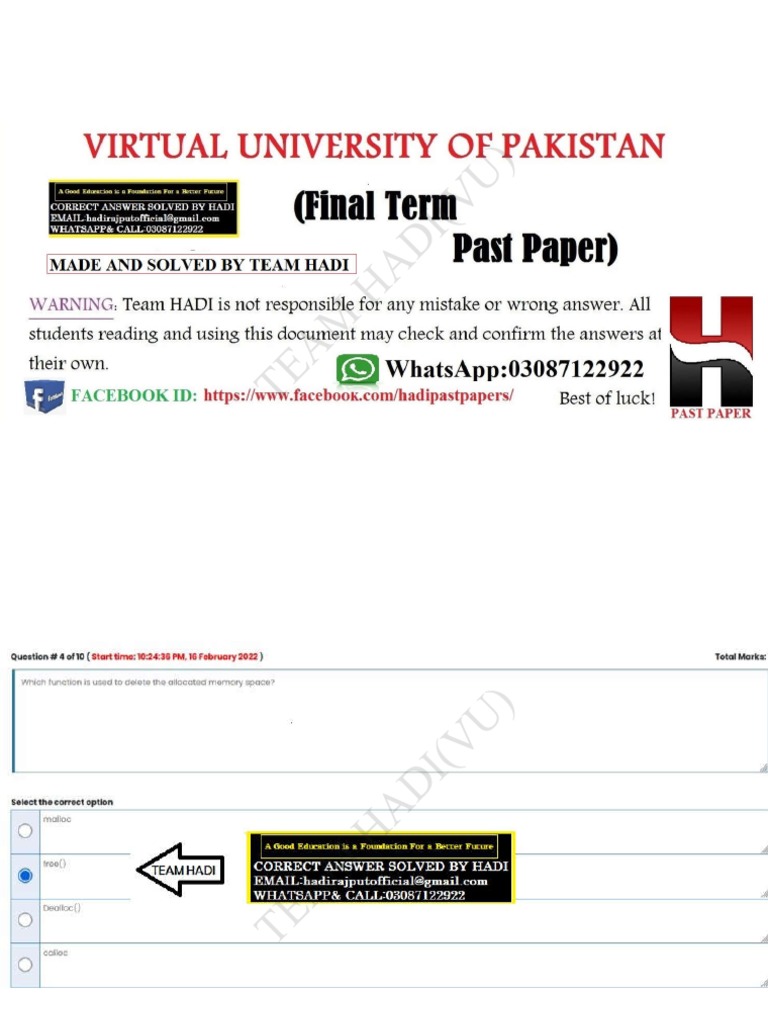 CS201 Final Term File 7 Solved by Team Hadi | PDF
