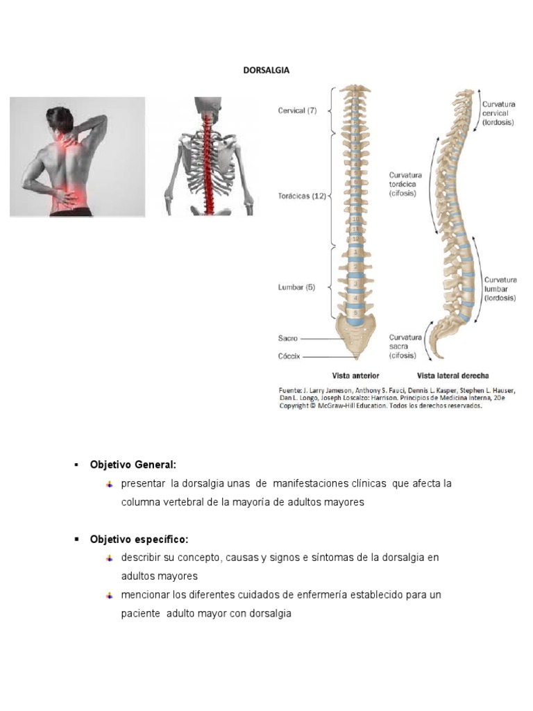 Dorsalgia en Adultos Mayores: Causas y Tratamiento | PDF