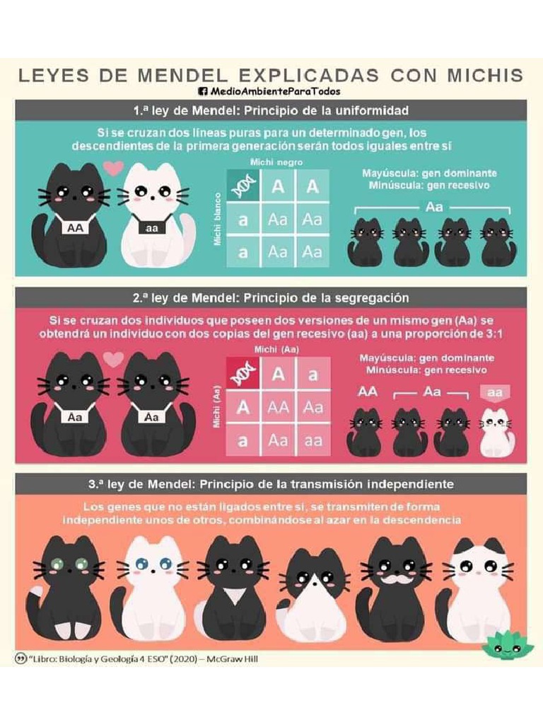 Leyes de Mendel | PDF