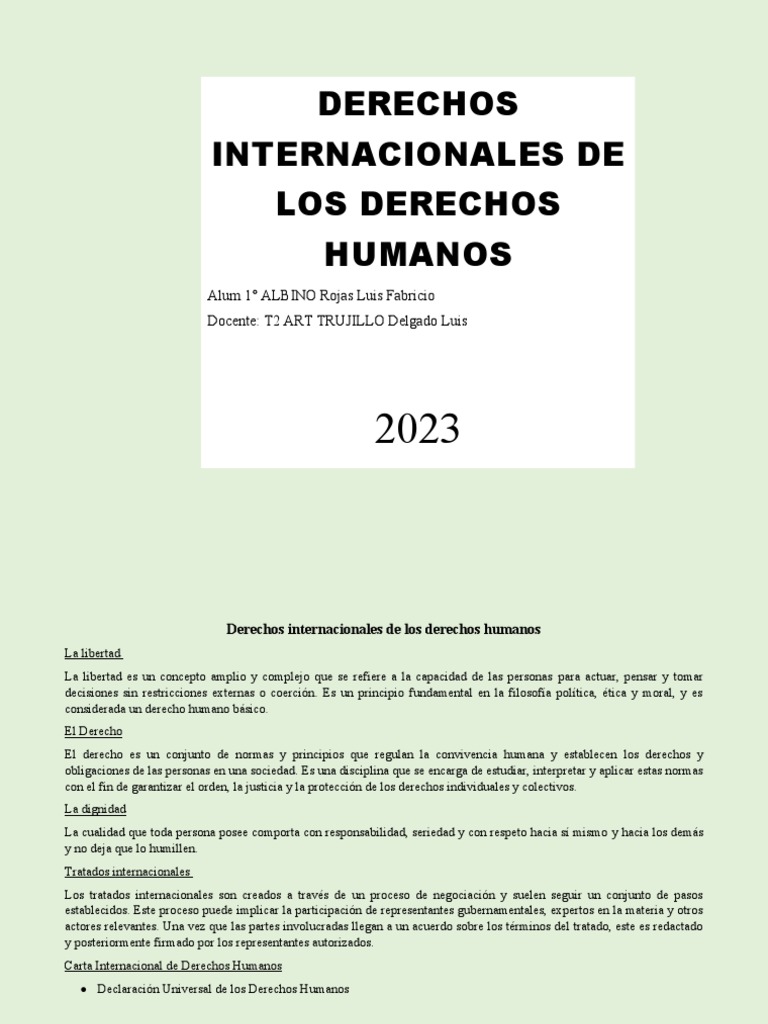 Derechos Internacionales De Los Derechos Humanos Pdf Derechos