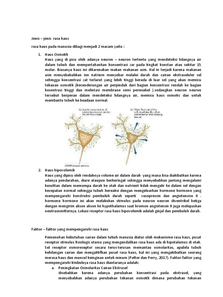 Jenis Jenis Rasa Haus Dan Faktor Yang Mempengaruhi | PDF
