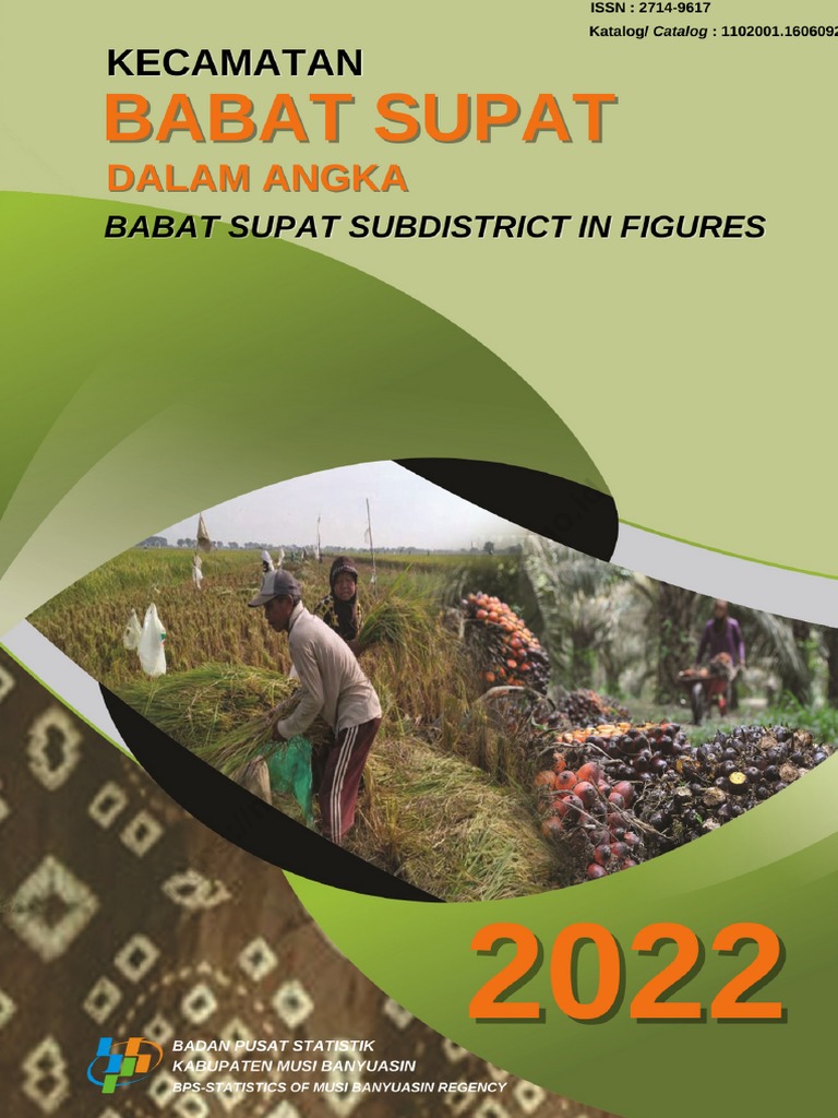 Kecamatan Babat Supat Dalam Angka 2022 | PDF