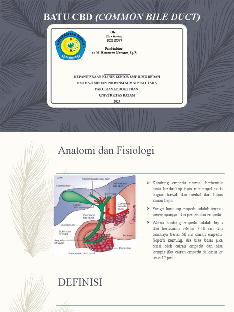 Batu CBD (Common Bile Duct) : Oleh: Elsa Amimi 102118077 Pembimbing: Dr ...