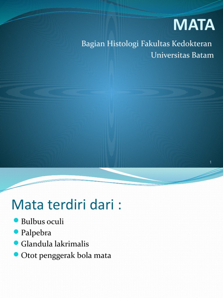 Histologi Mata | PDF