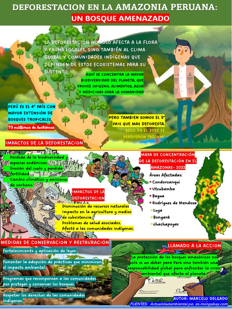 Infografía Sobre La Deforestación en La Amazonia | PDF