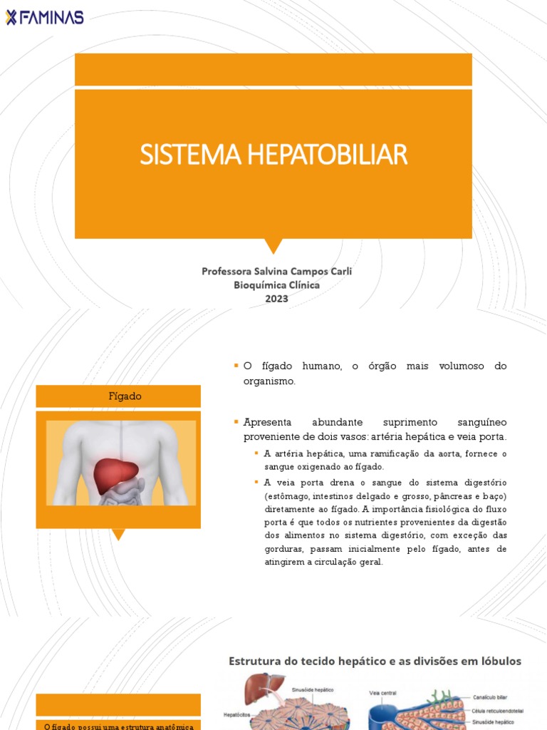 Sistema Hepatobiliar | PDF | Fígado | Bile