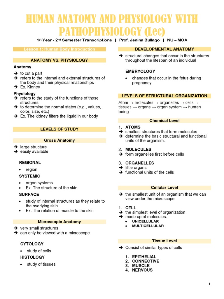 ANAPHY-LEC-TRANSES | PDF