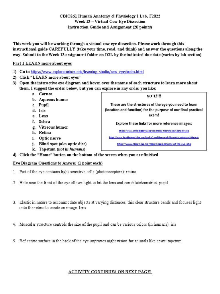 Virtual Cow Eye Dissection | PDF