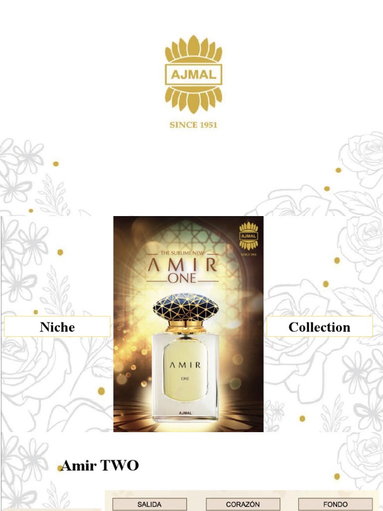 Ajmal Presentation 1 | PDF