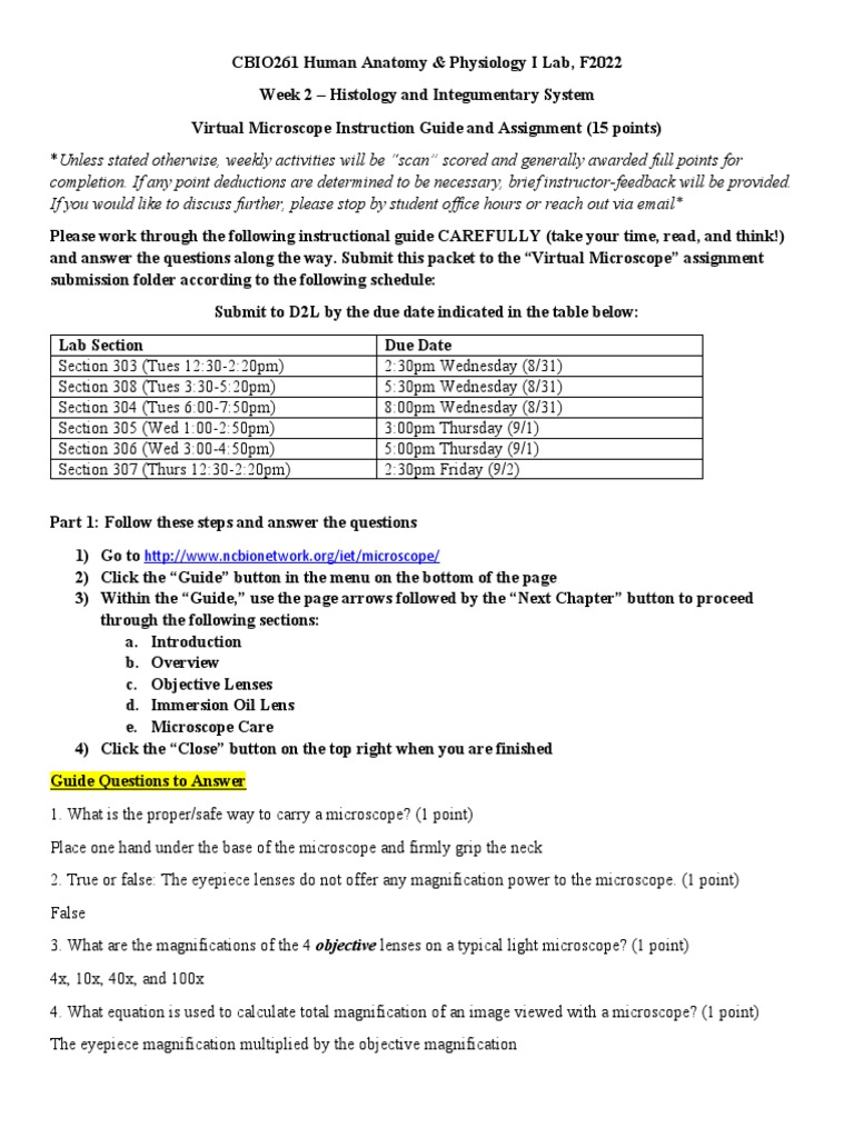 Week 2 Virtual Microscope Activity | PDF | Epithelium | Connective Tissue