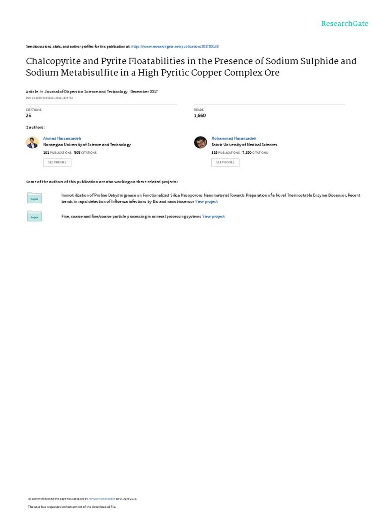 Chalcopyrite and Pyrite Floatabilities in The Presence of Sodium ...