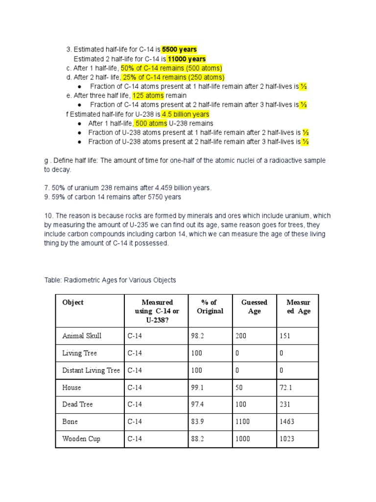Half Life Simulation Summary | PDF