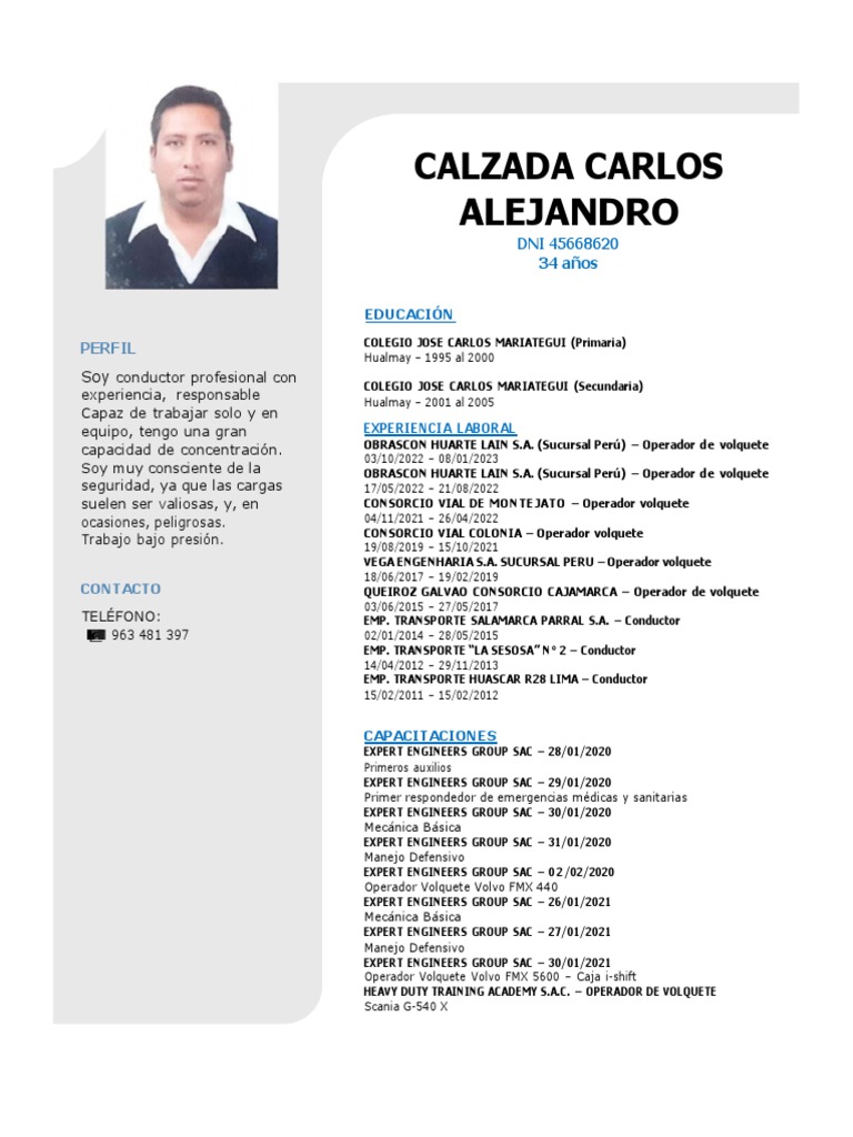 ALEX CV 2023 - Actualizado | PDF