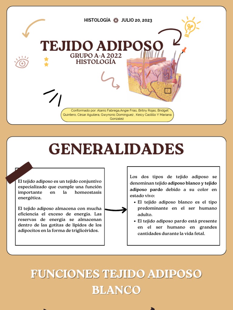 TEJIDO ADIPOSO | PDF