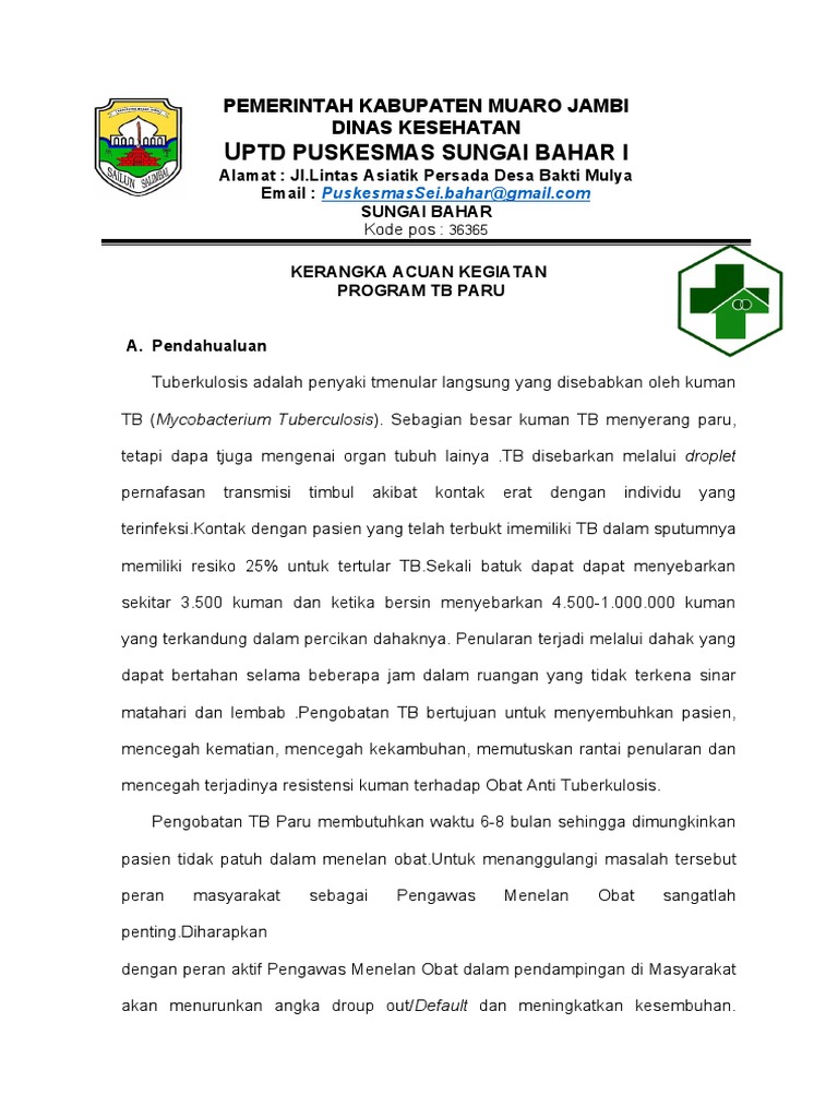 Program Pengendalian TB Paru | PDF