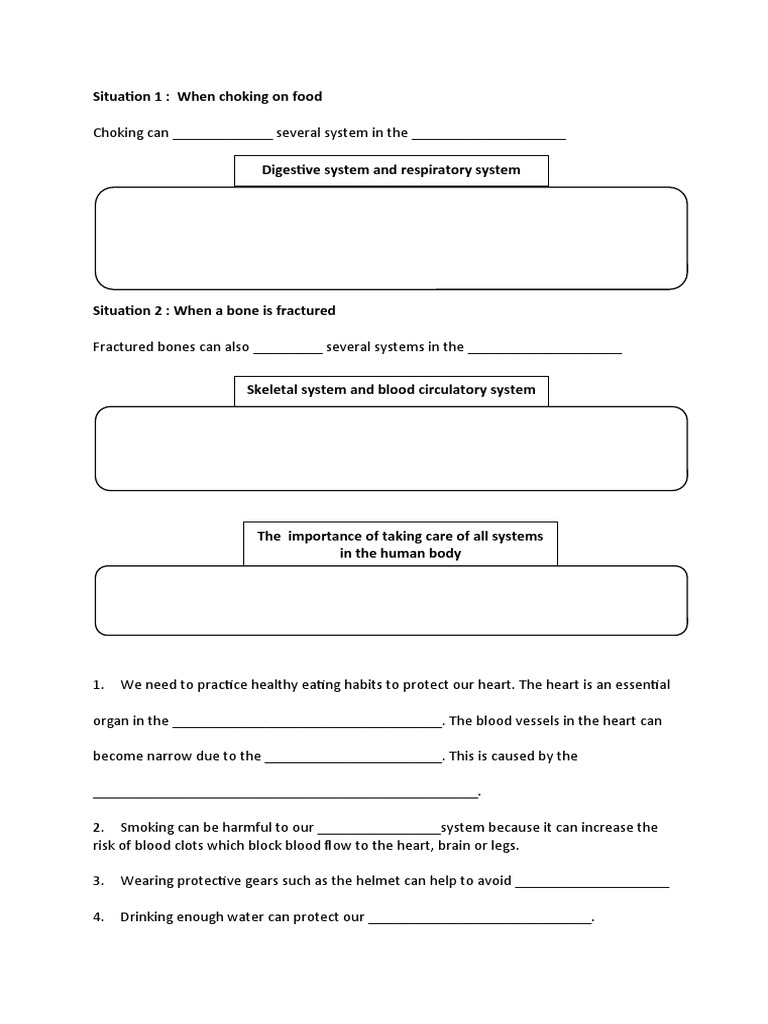 The Importance of Taking Care of All Systems Year 5 Science | PDF