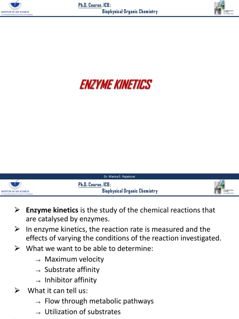 enzyme kinetics | PDF