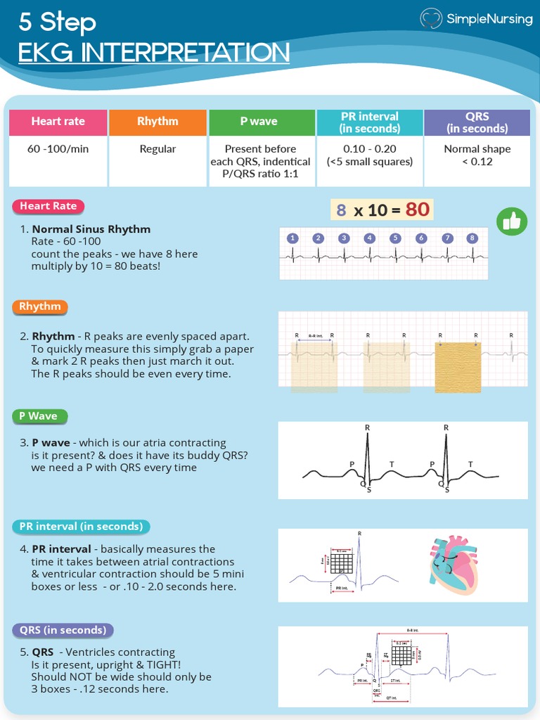 5 Step EKG Interpretation | PDF