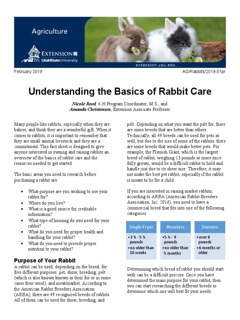 Understanding The Basics of Rabbit Care Publication2023 | PDF