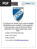 Informe - Indagación Descriptiva - Proyecto Eureka 2025 | PDF ...