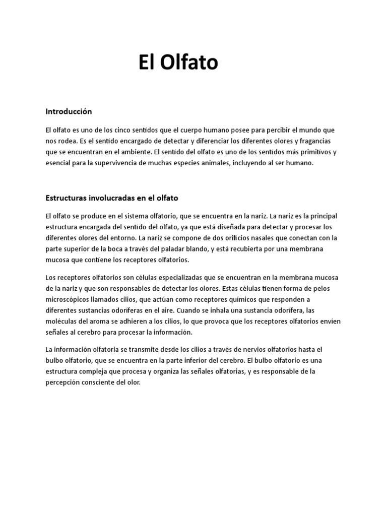 El Olfato | PDF