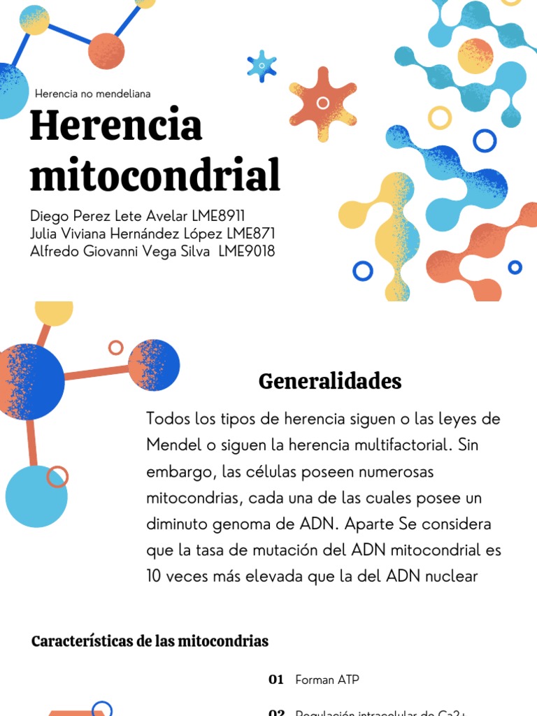 Herencia Mitocondrial y Síndromes | PDF | Adn mitocondrial | Mitocondria