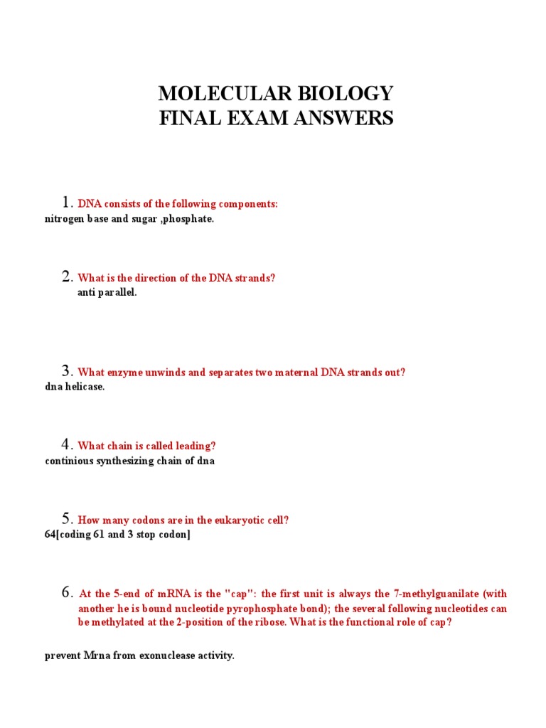 Molecular Biology Final Exam Answers | PDF | Rna | Dna