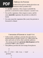 Pyruvate Conversion in Lactic Fermentation | PDF | Lactic Acid ...