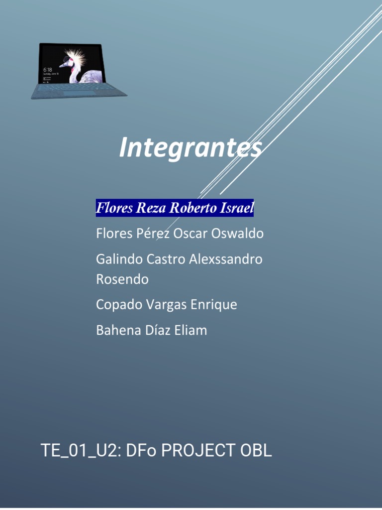 Te - 01 - U2. Dfo Project Obl | PDF