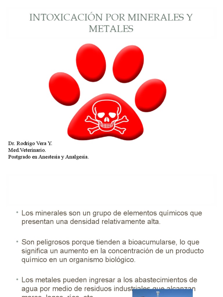 Intoxicación por Metales en Animales | PDF | Arsénico | Cobre