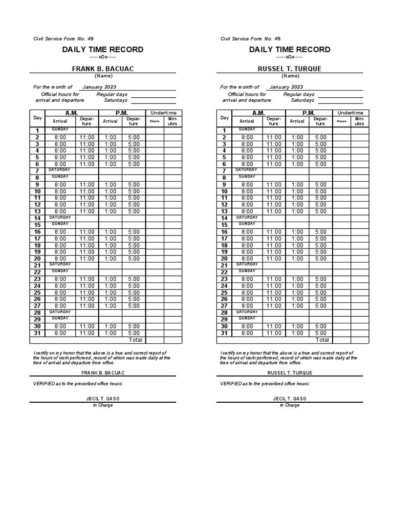 Naiba Appendix 24 Daily Time Record DTR | PDF